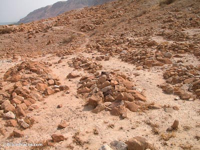 Dead Sea Dead – Israel by Leiah
