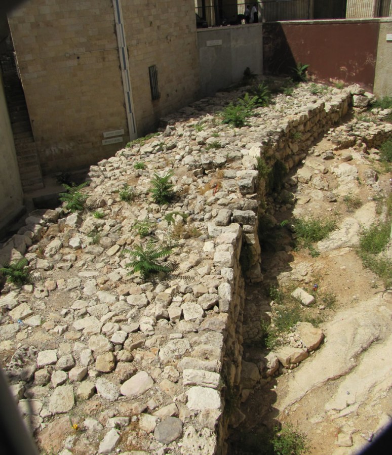 How Broad is the Broad Wall? – Israel by Leiah